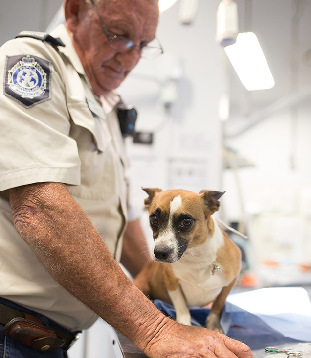 RSPCA Animal Inspectors | Blog | RSPCA Queensland