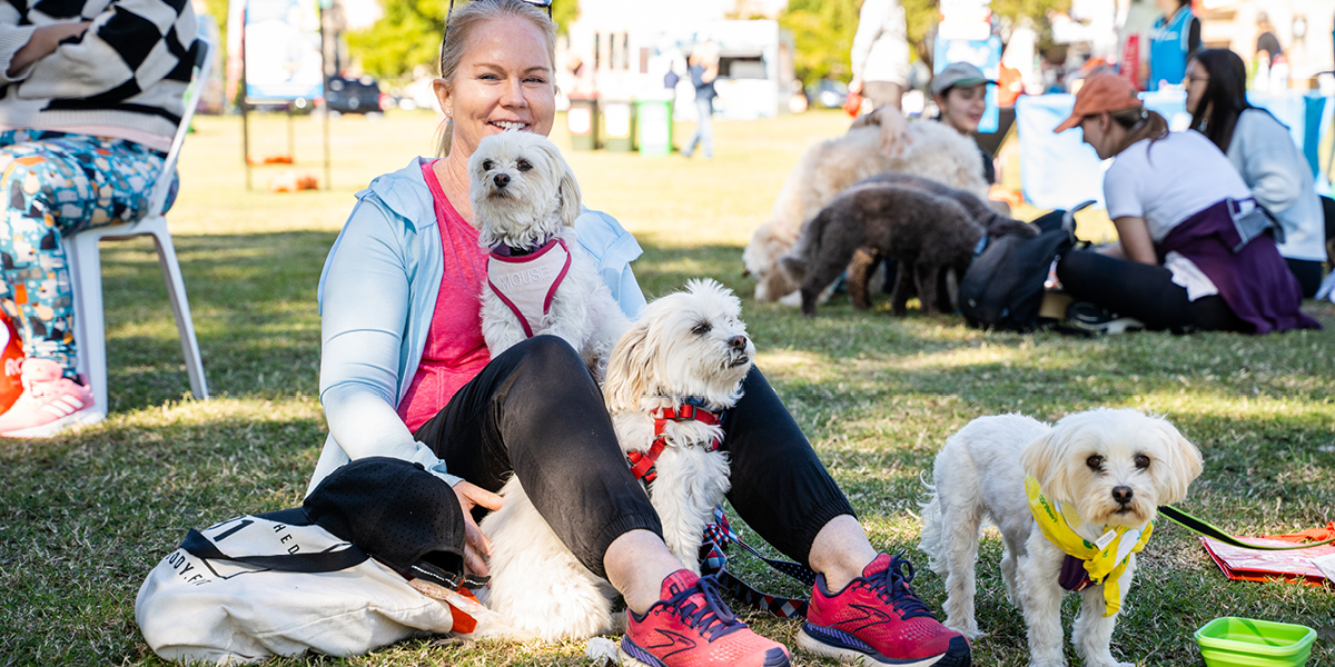 6 tips to prepare your pet for Million Paws Walk | Blog | In the ...