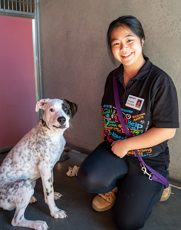 Volunteer Week 2021 | RSPCA Queensland