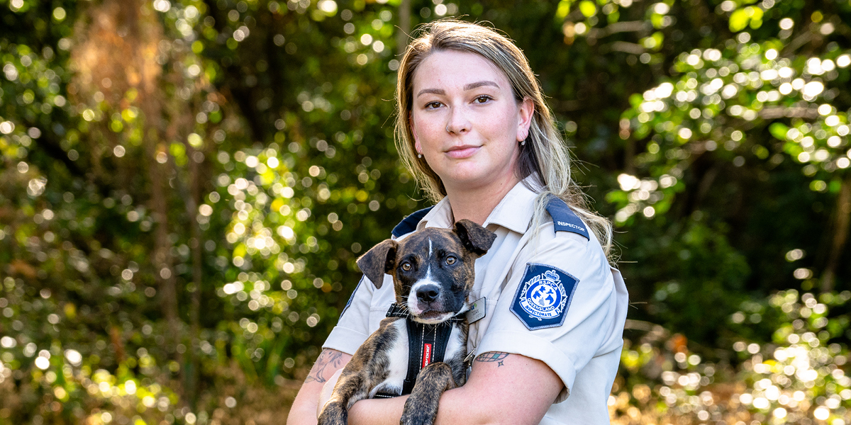 10 things an Inspector would never do to their pet | Blog | Pet Care ...