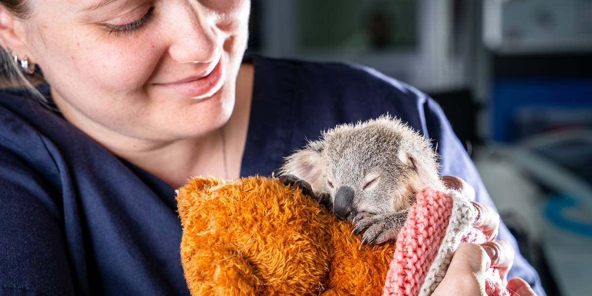 5 Tips to Help Wildlife in Spring | Blog | Wildlife and Conservation ...